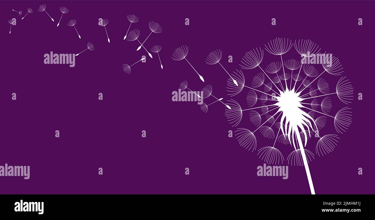A vector illustration of a white dandelion seeds flying away on a ...