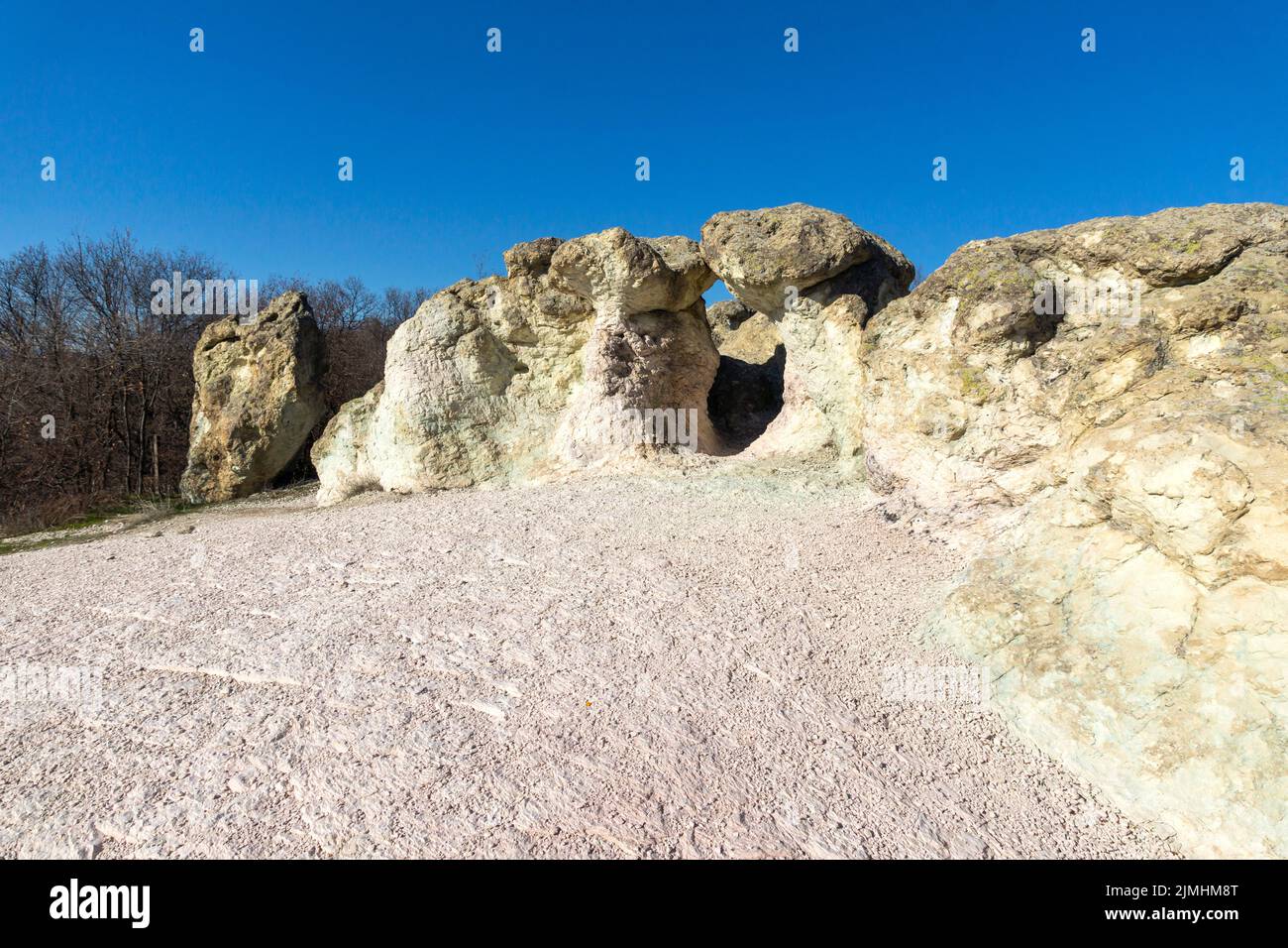Landscape with Rock formation The Stone Mushrooms near Beli plast ...