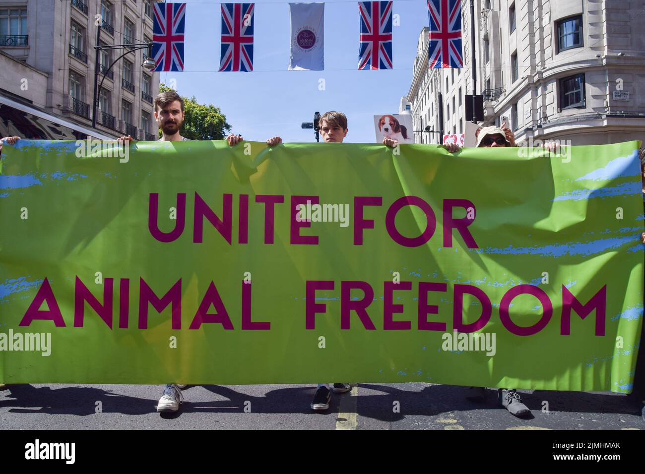 Unite for animal freedom hi-res stock photography and images - Alamy