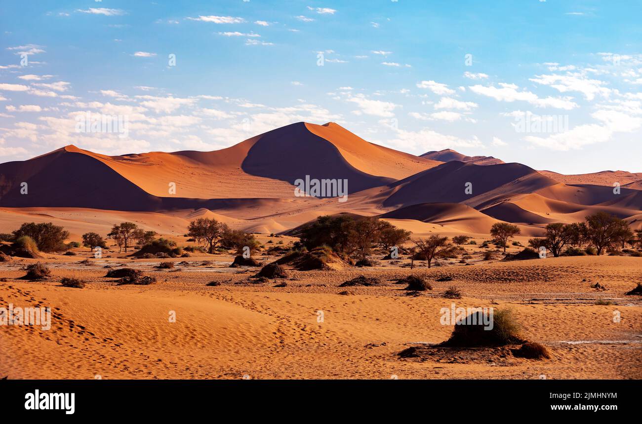 Arid dry landscape Hidden Vlei in Namibia Africa Stock Photo - Alamy
