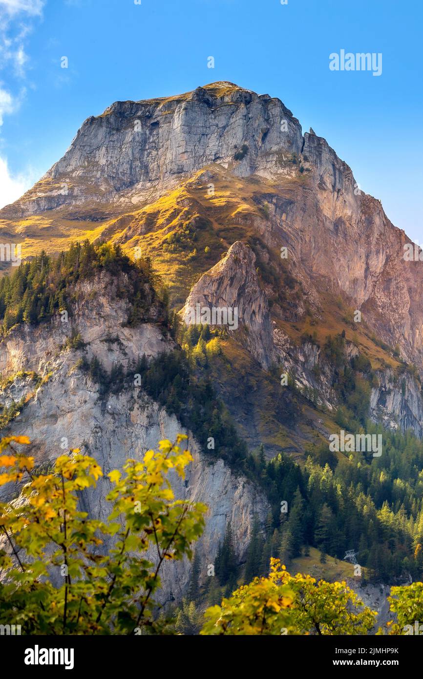Rocky mountain peak trees hi-res stock photography and images - Alamy