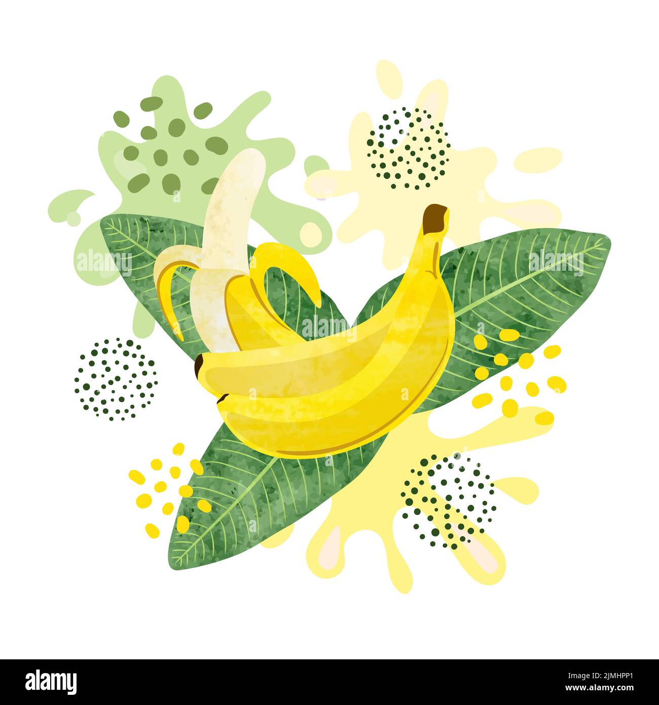 Watercolor bananas Stock Vector Images - Alamy