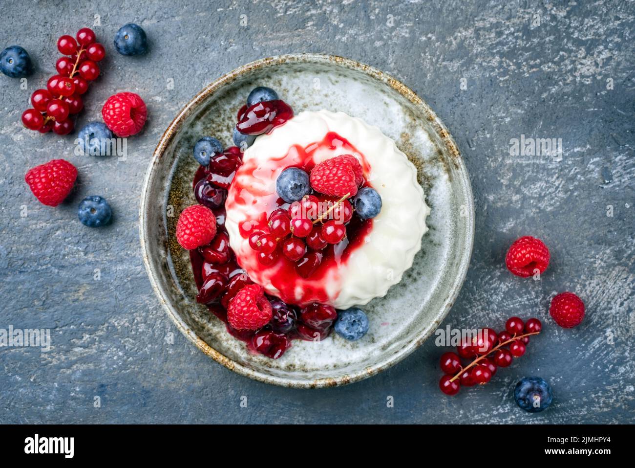 Modern style traditional blancmange almond pudding with wild berry ...