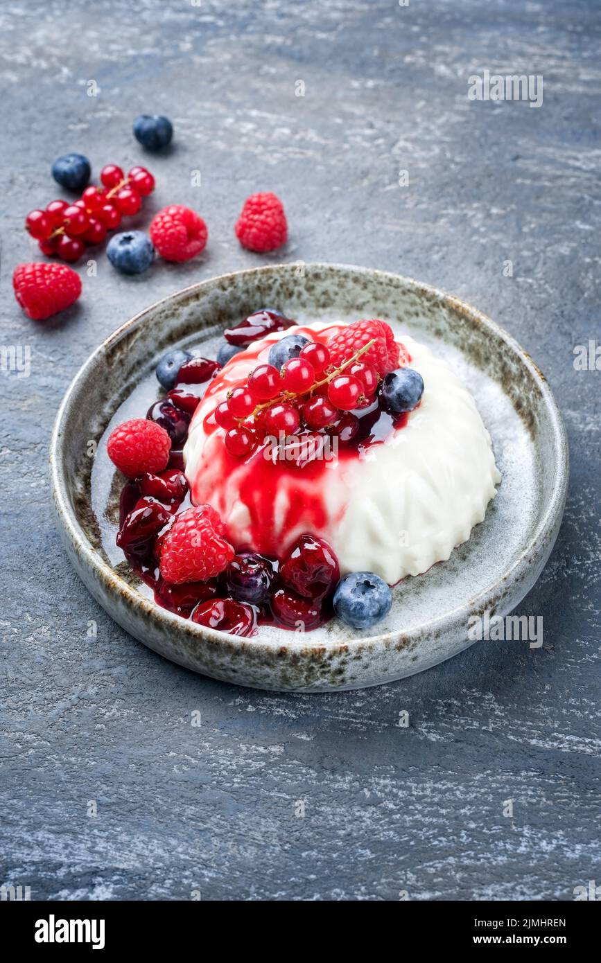 Modern style traditional blancmange almond pudding with wild berry ...