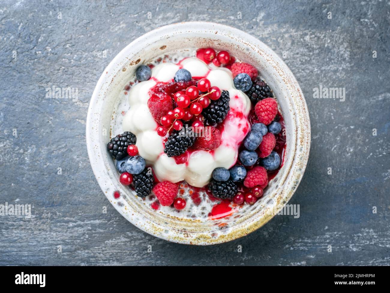 Modern style traditional blancmange almond pudding with wild berry ...