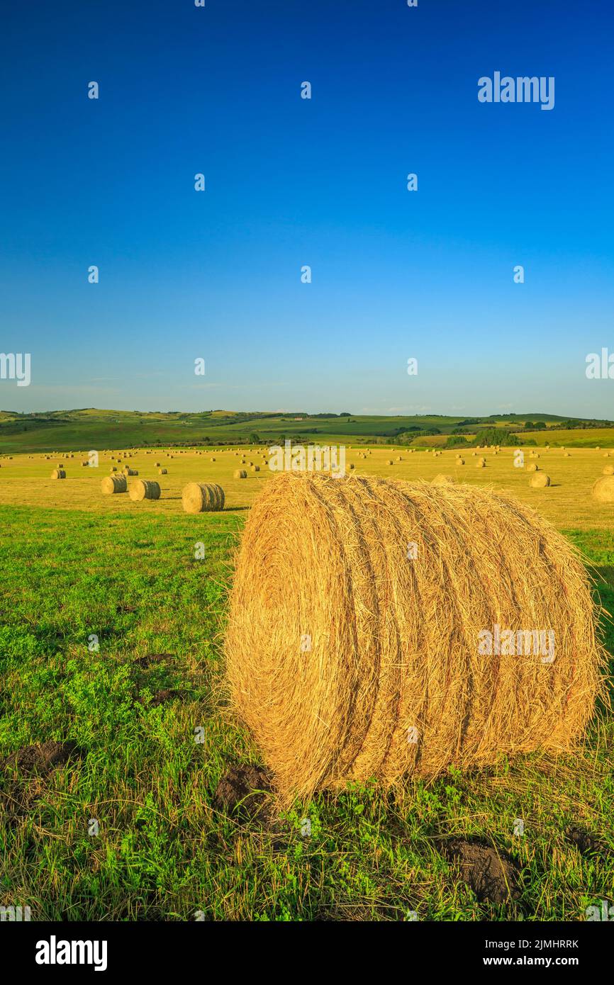 Hay southern alberta hi-res stock photography and images - Alamy