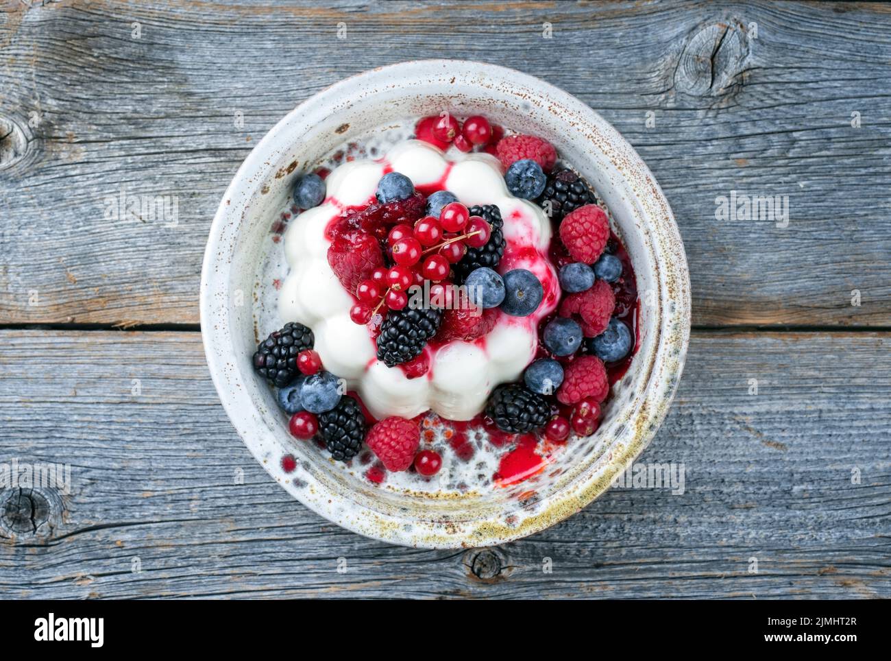 Modern style traditional blancmange almond pudding with wild berry ...