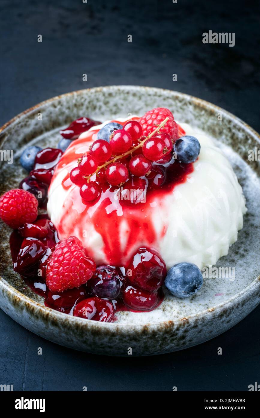 Modern style traditional blancmange almond pudding with wild berry ...