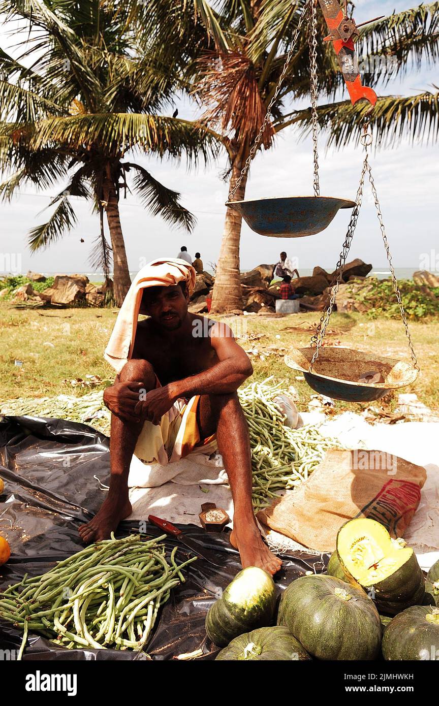 Sri Lanka, Negombo, lifestyle, people, market, small business, Asia ...