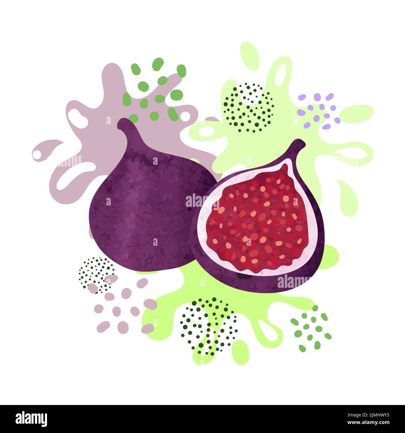 Fig image Stock Vector Images - Alamy