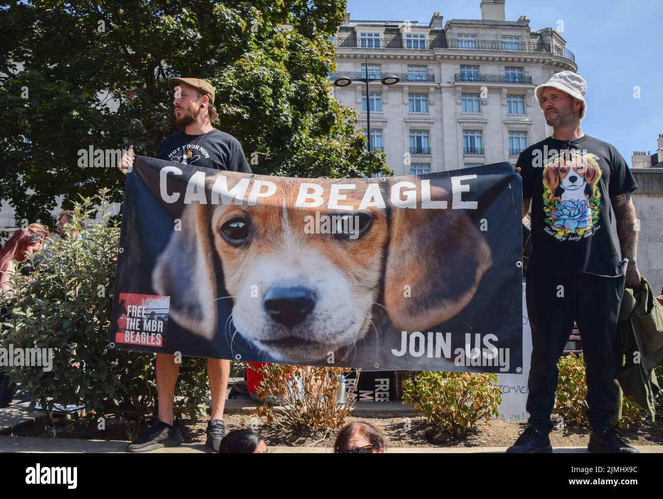 Camp beagle protestors hi-res stock photography and images - Alamy