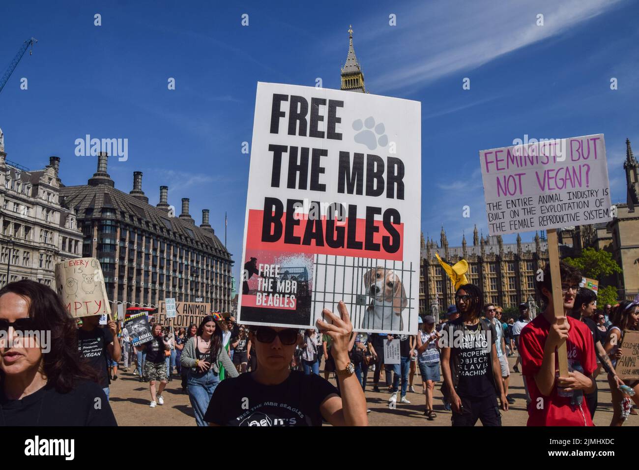 Camp beagle protestors hi-res stock photography and images - Alamy