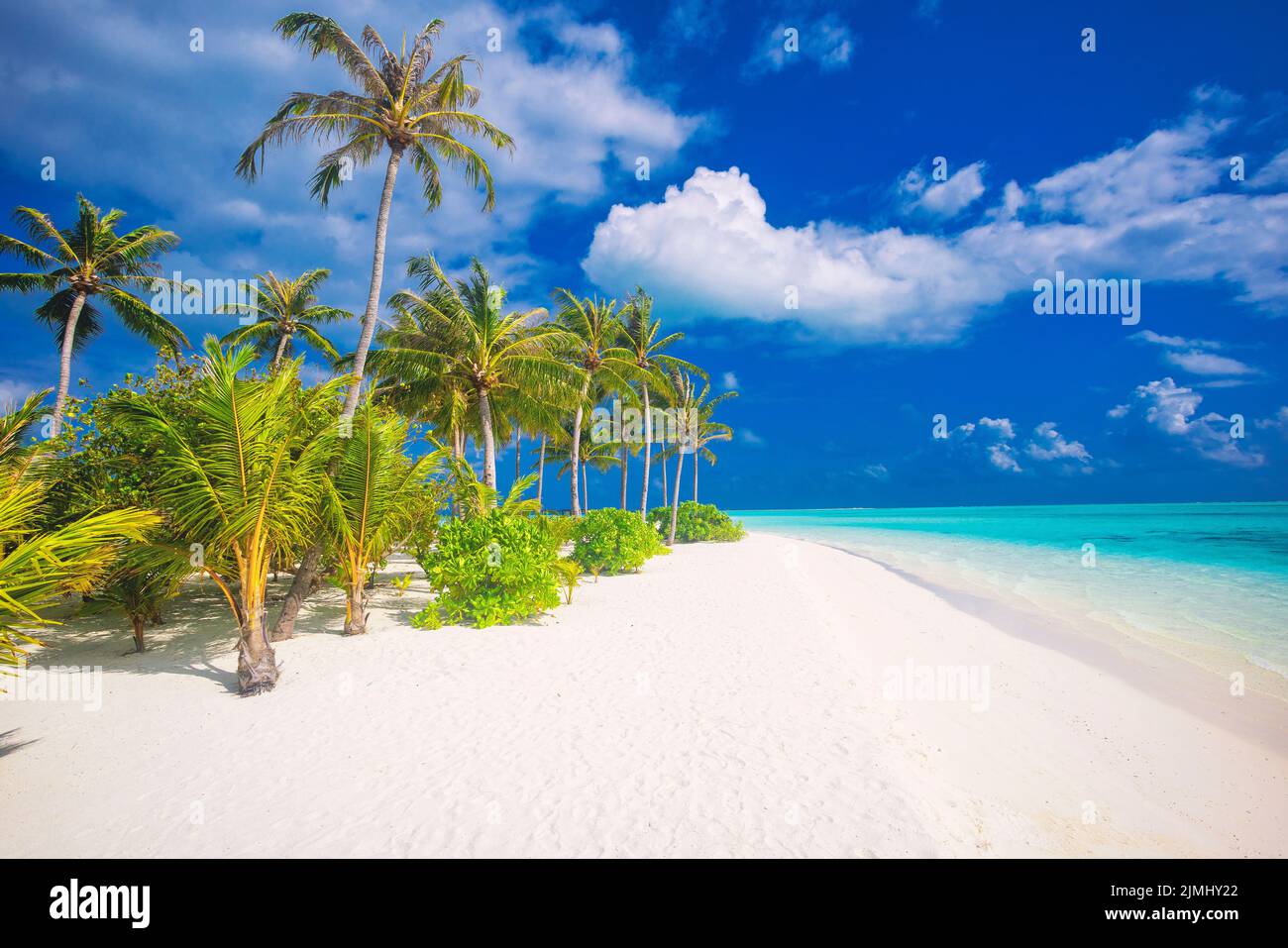 Idyllic Beach with Palm Treesat the Maldives, Indian Ocean Stock Photo ...
