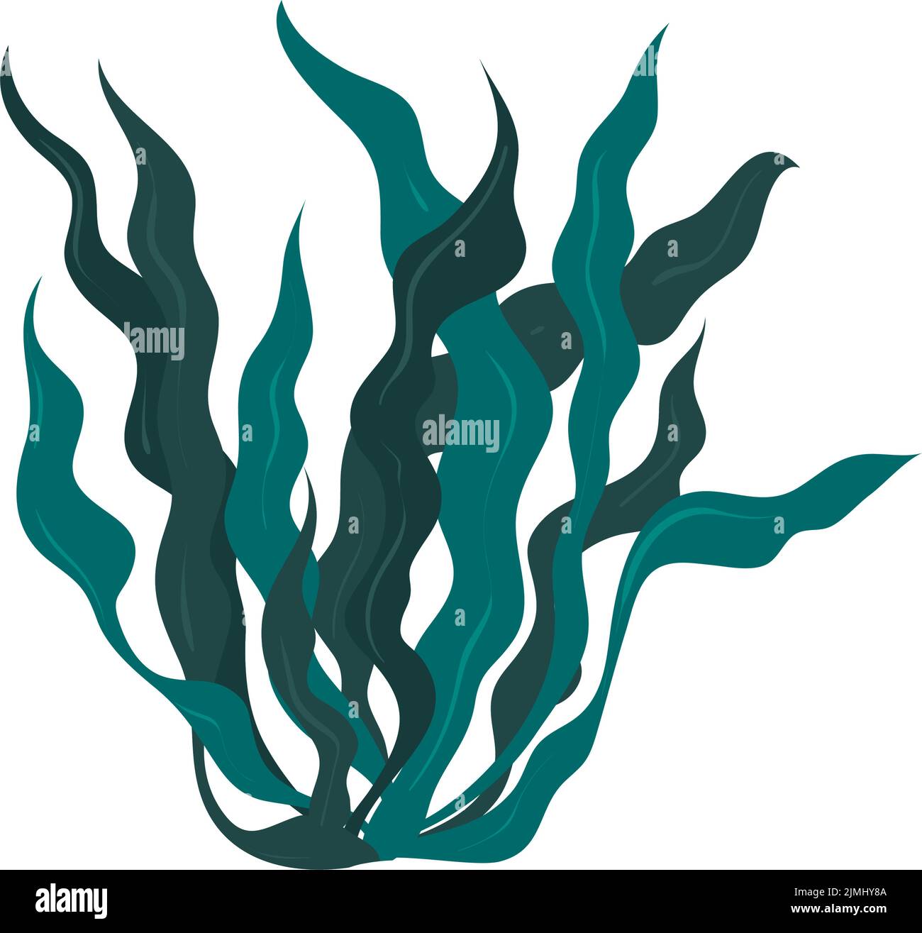 green seaweed design Stock Vector Image & Art - Alamy