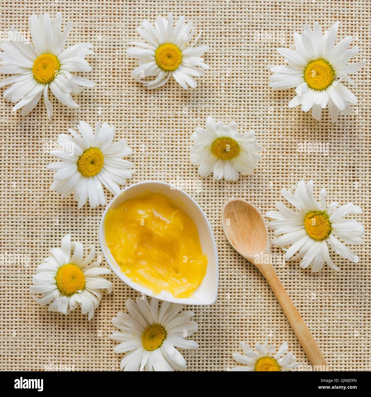 Butter daisy flower hi-res stock photography and images - Alamy