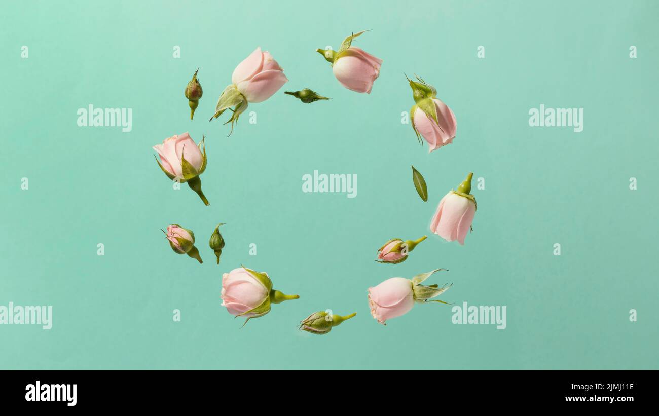 Top view pink spring roses circle with copy space Stock Photo - Alamy