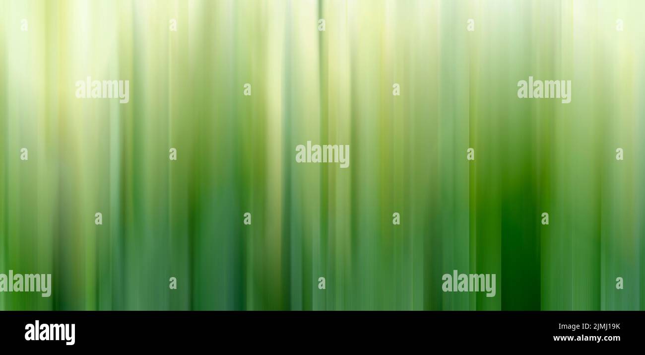 Abstract vertical green lines background Stock Photo - Alamy
