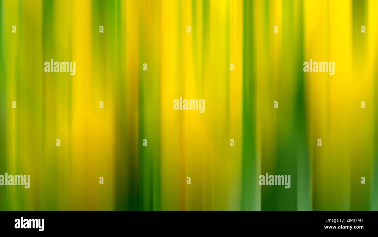 Green vertical gradient background design hi-res stock photography and ...