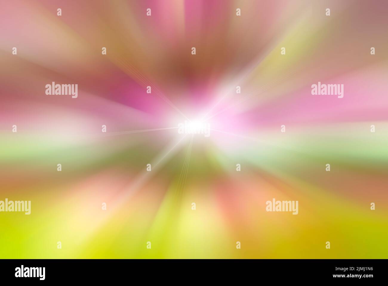 Holiday lights. Dynamic pink lines of light. Light from central point ...