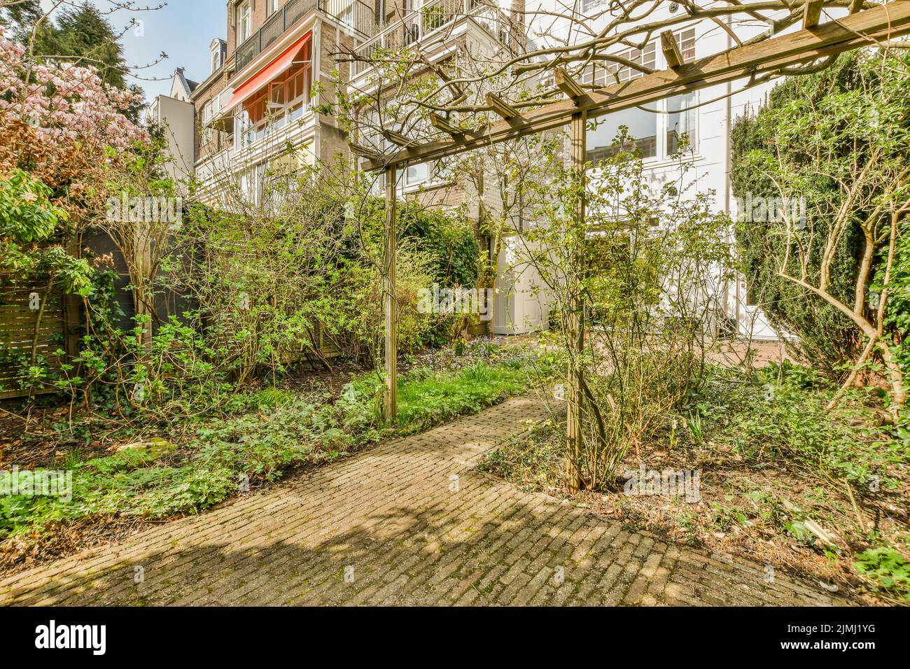 Simple small empty patio with snear wooden fence Stock Photo - Alamy