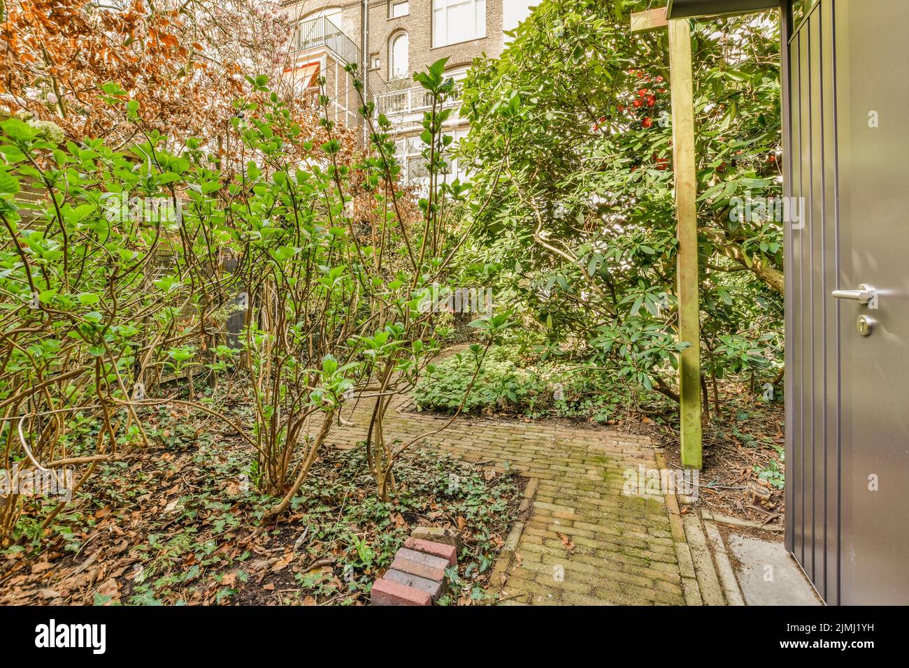 Simple small empty patio with snear wooden fence Stock Photo - Alamy
