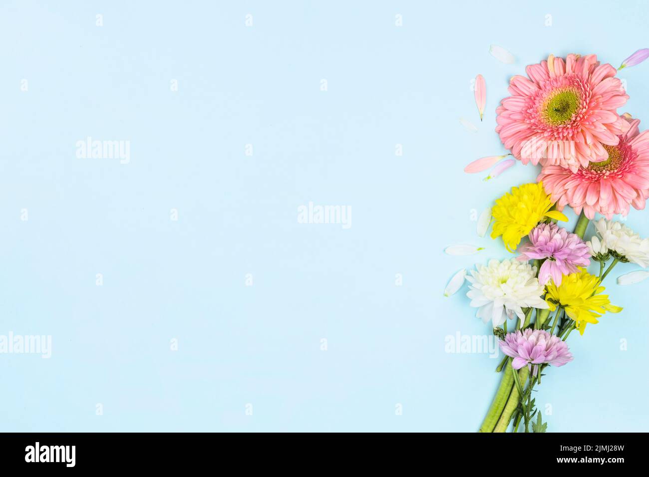 Vibrant arrangement fresh spring hi-res stock photography and images ...