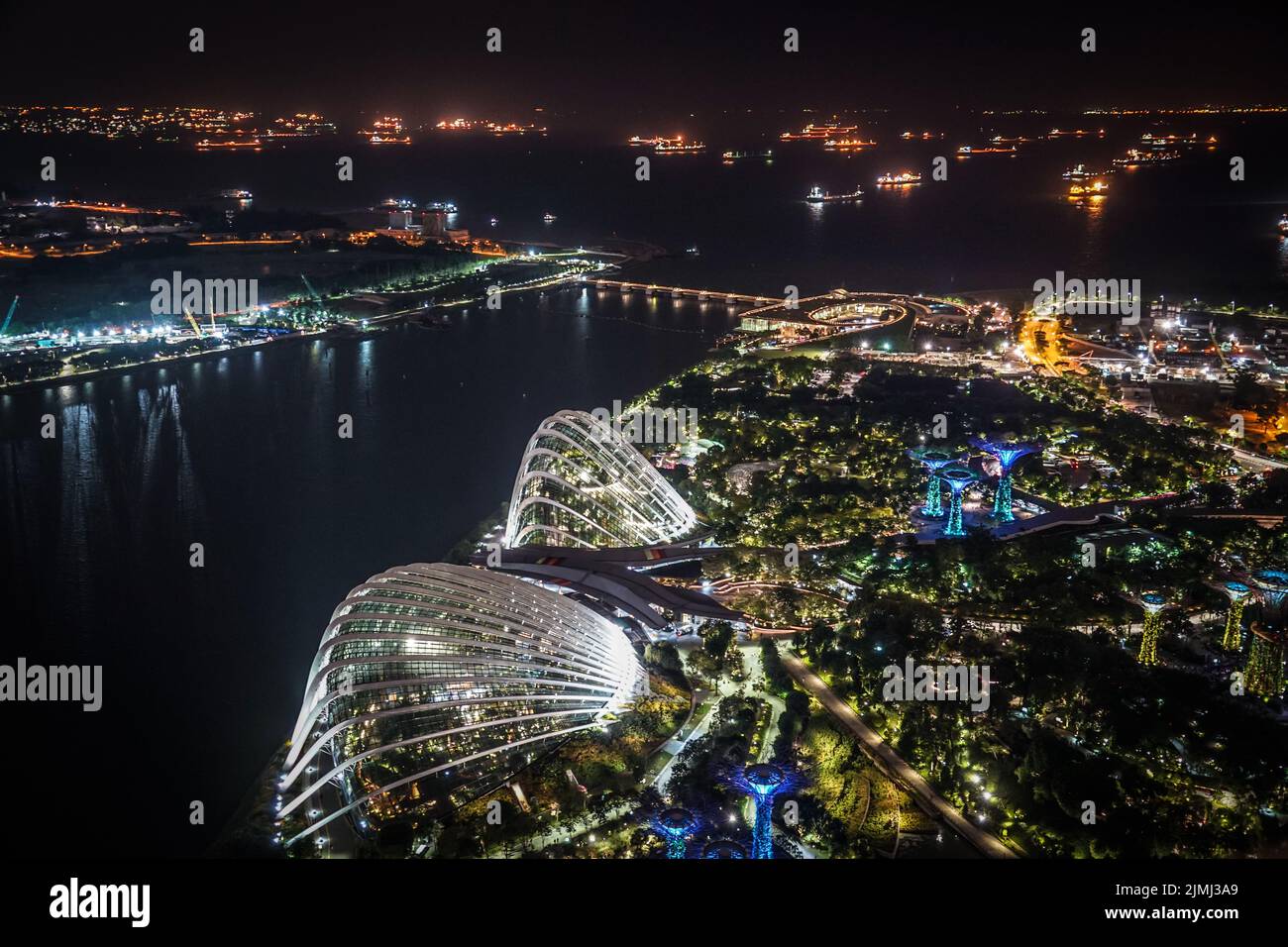Marina Bay Sands night view from the observatory (Singapore Stock Photo ...