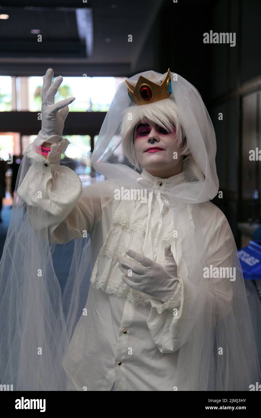 COMIC CON CONVENTION TAMPA,FL Stock Photo - Alamy