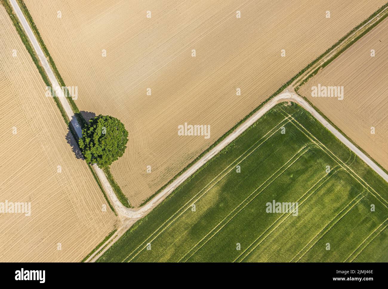 aerial picture of field with a tree and roads Stock Photo - Alamy