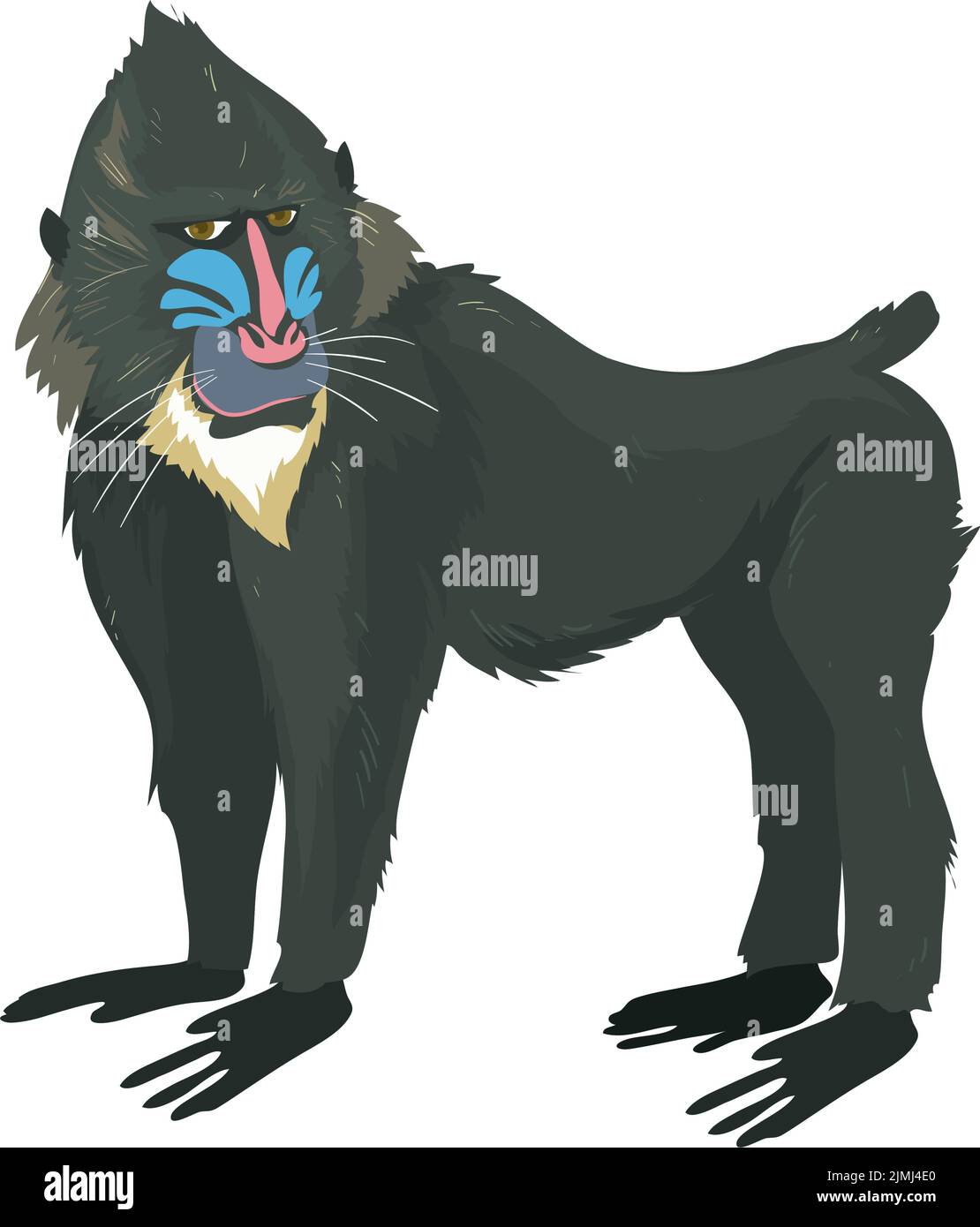 Hairy baboon Stock Vector Images - Alamy