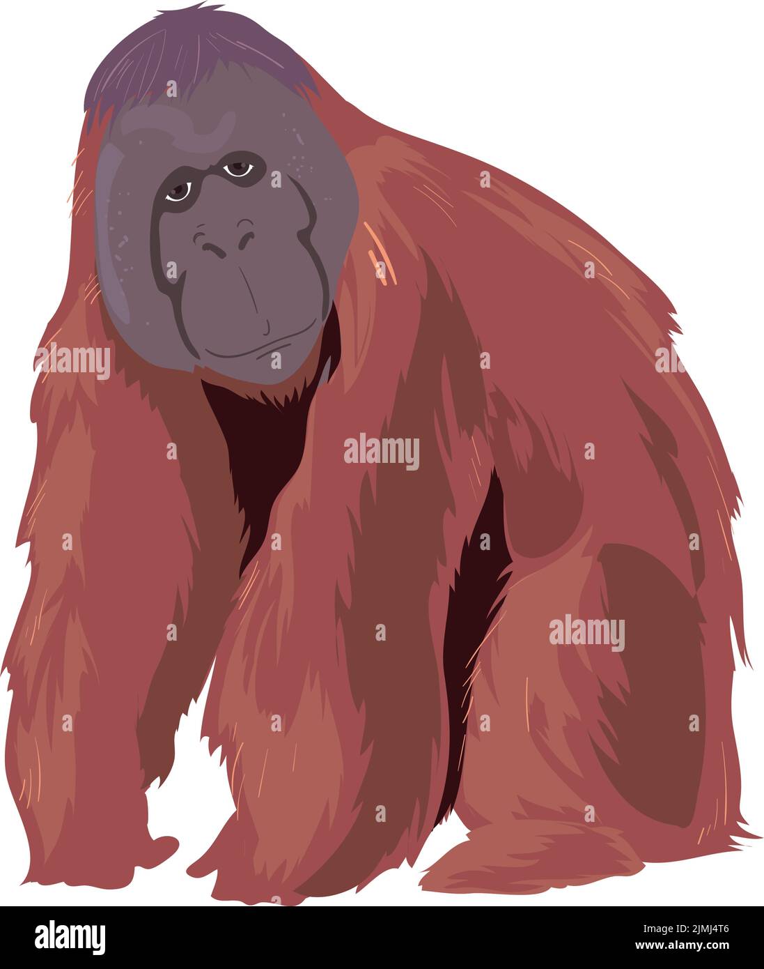 Borneo orangutan forest Stock Vector Images - Alamy