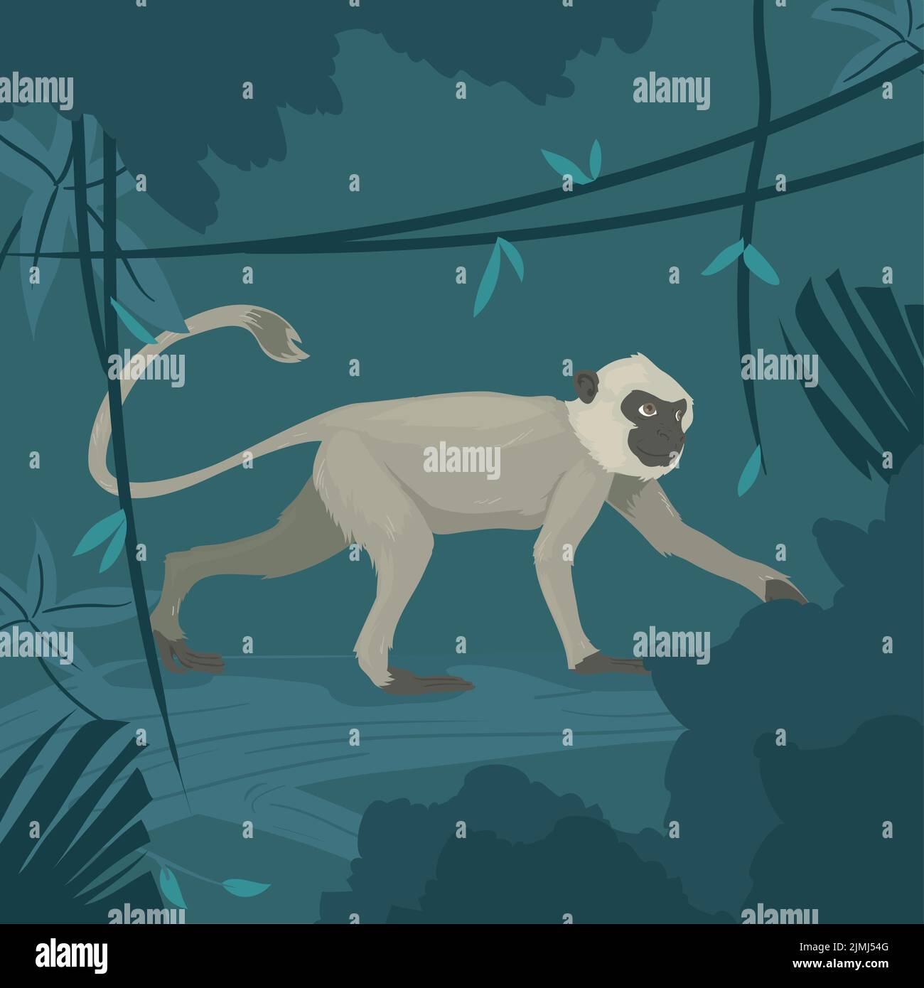 capuchin monkey poster Stock Vector Image & Art - Alamy