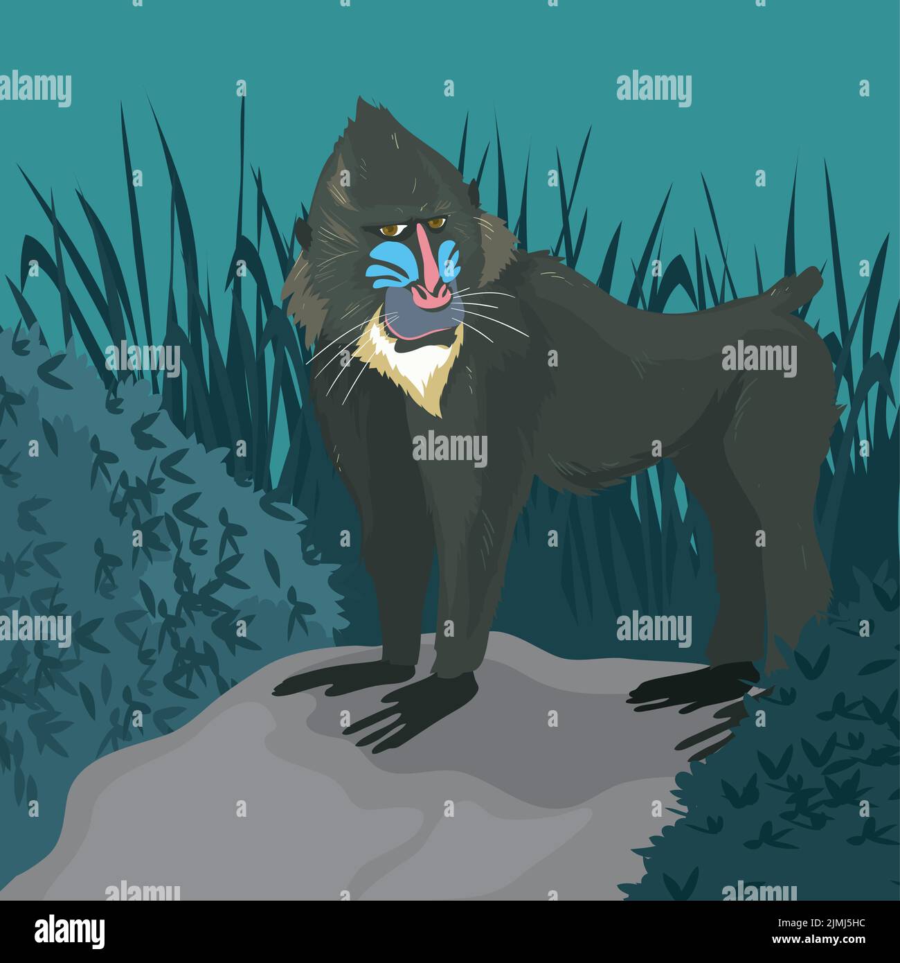 Baboon with tail Stock Vector Images - Alamy