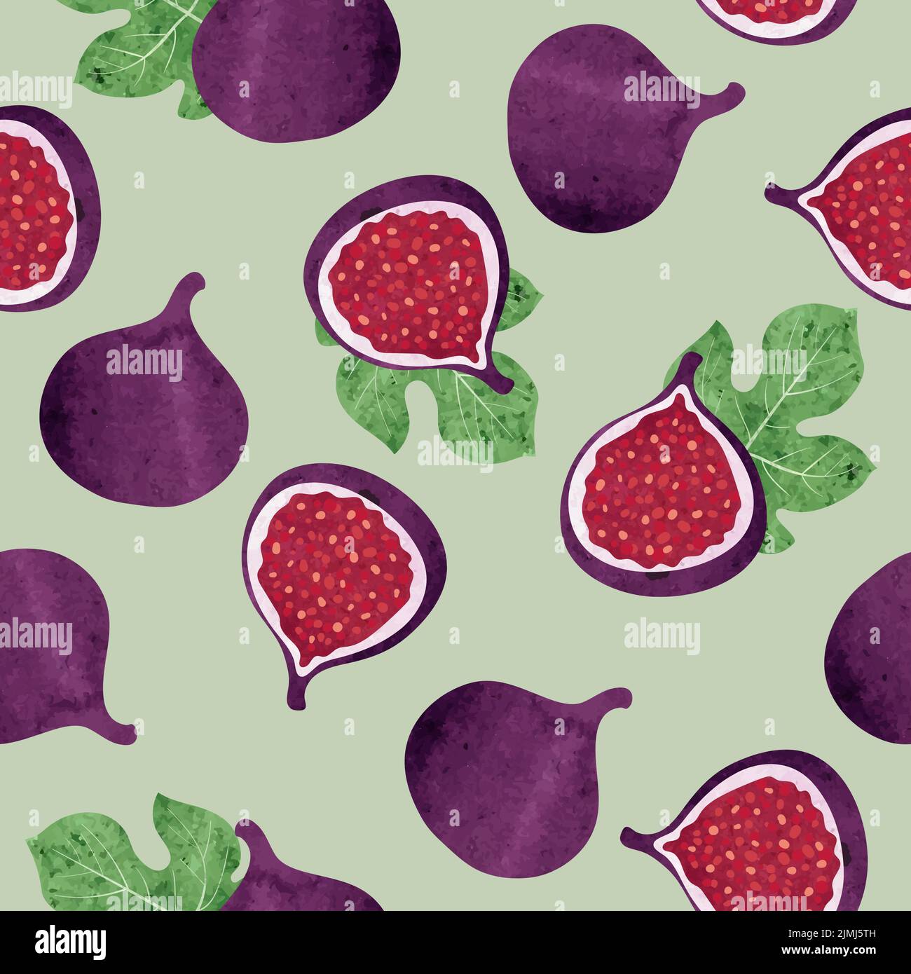 Seamless Fig Fruit Pattern Vector Watercolor Food Background Stock Vector Image And Art Alamy
