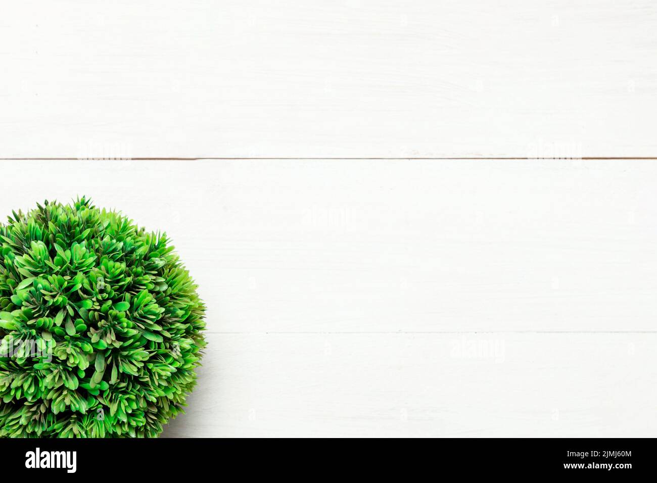 Green round bush white background Stock Photo - Alamy