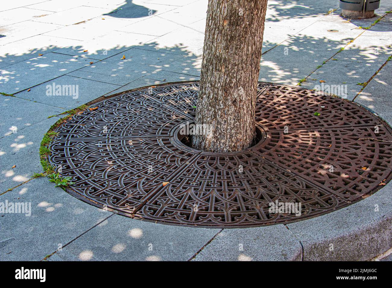 Metal drainage grate on the sidewalk around a tree in Slovakia Stock ...