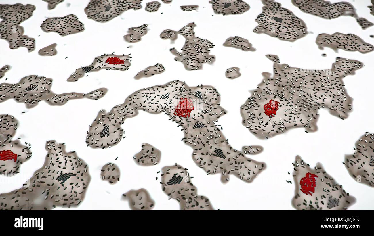 Swarming bacteria hi-res stock photography and images - Alamy