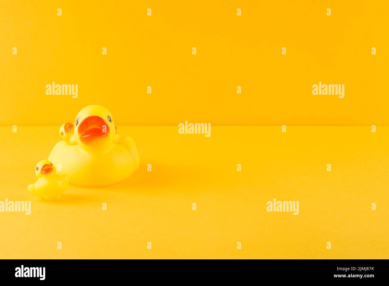 Duck with ducklings illustration hi-res stock photography and images ...