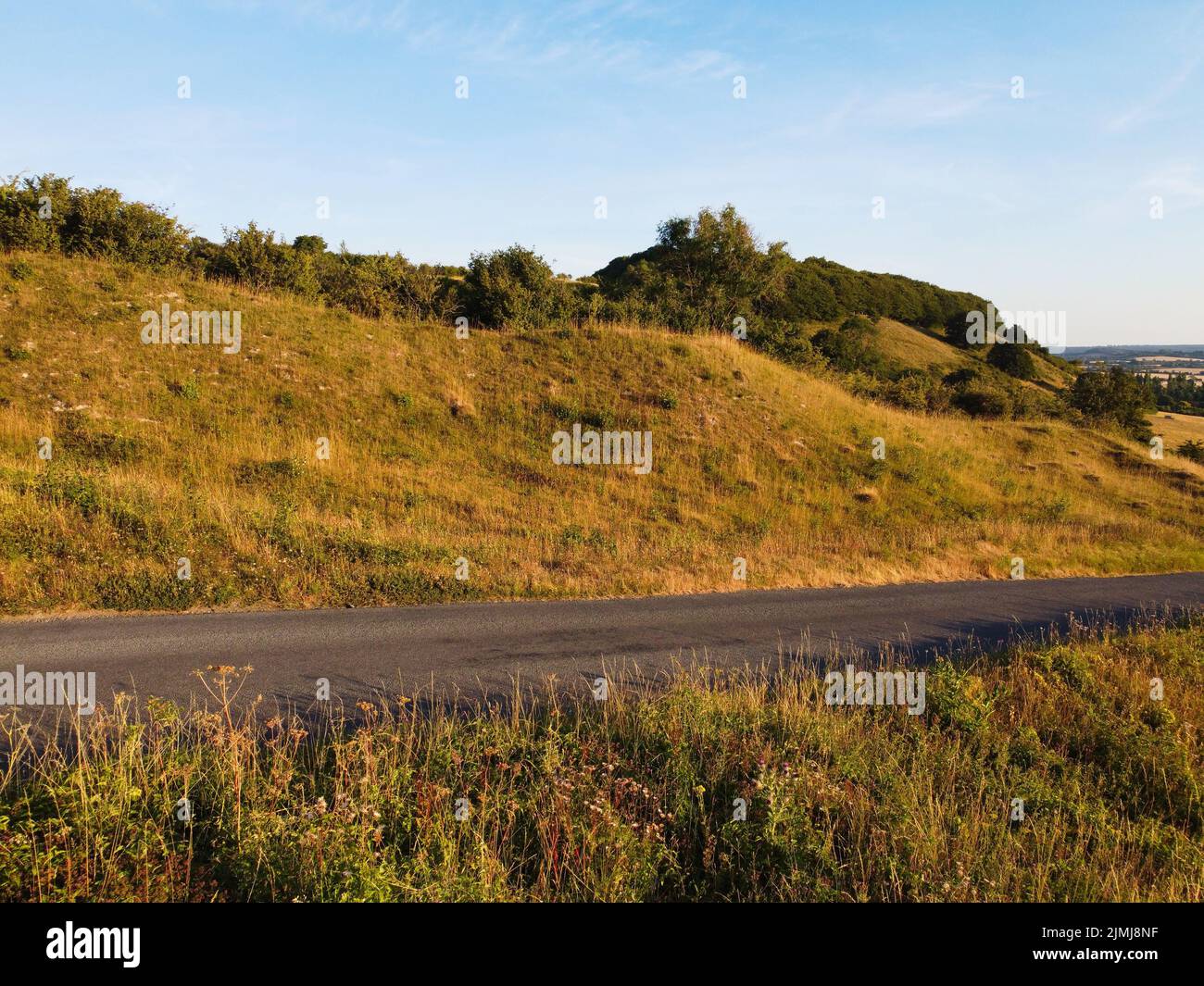 Bull cow sheep lamb farms hi-res stock photography and images - Alamy