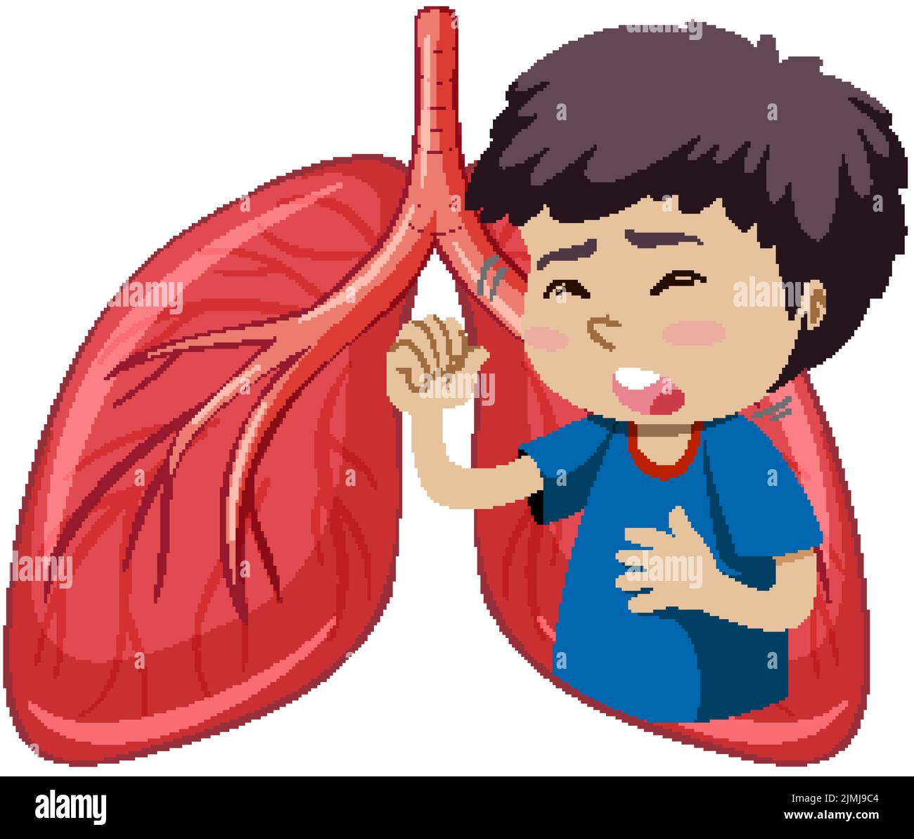 Lungs human icon vector illustration Stock Vector Image & Art - Alamy