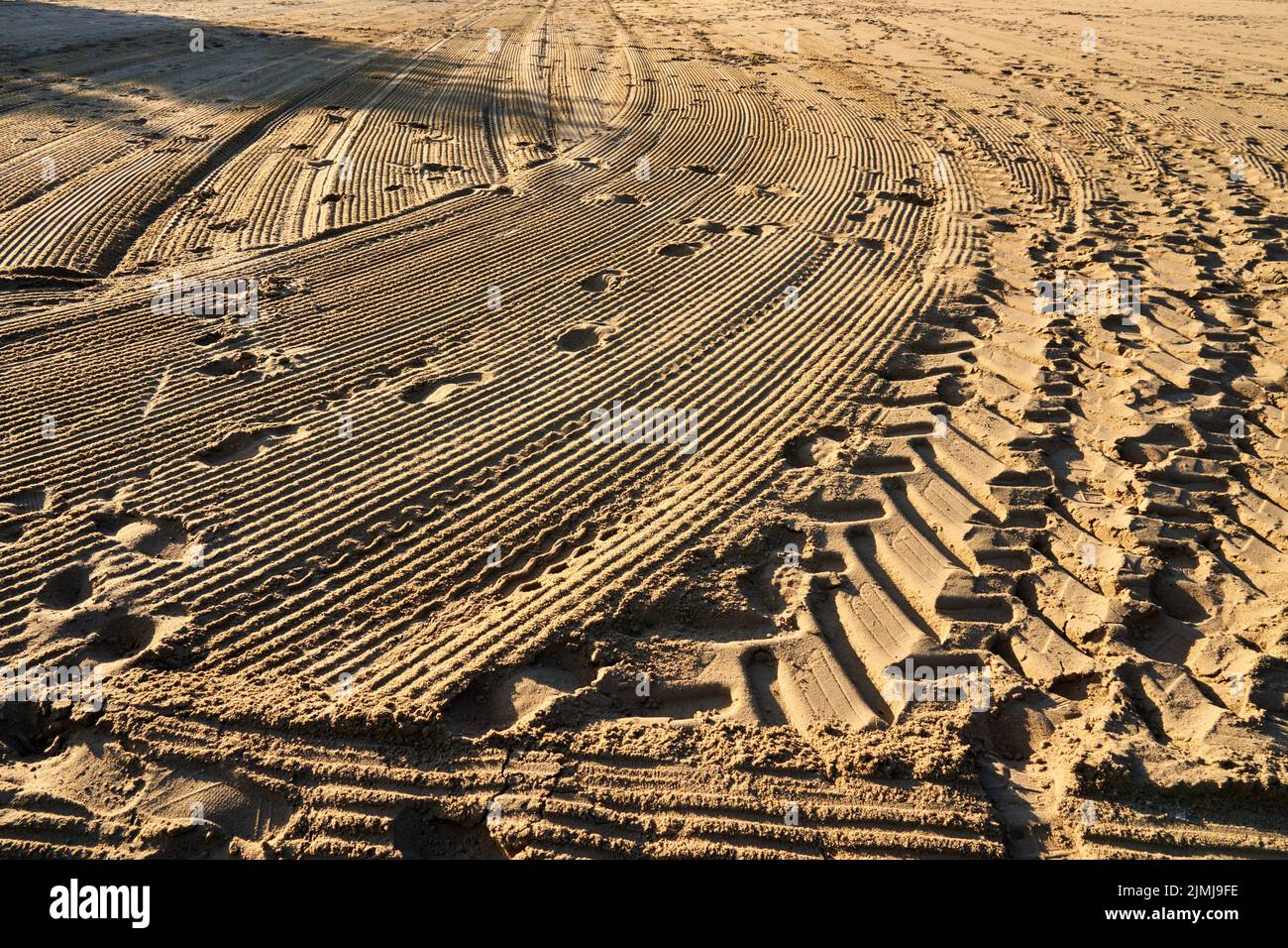A closeup shot of a sandy brown surface with tire tracks and footsteps ...