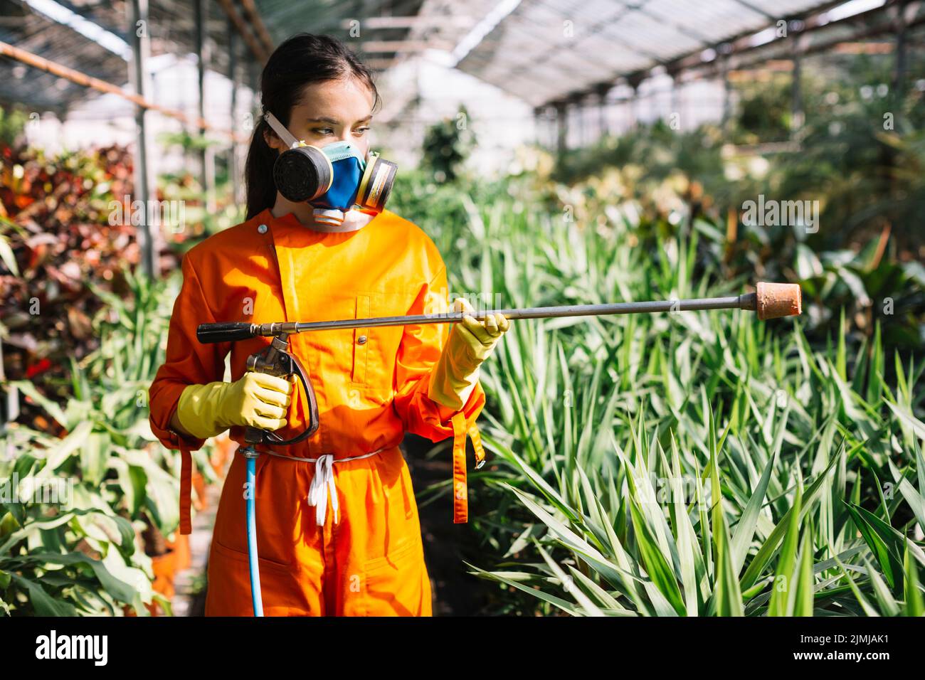 Female gardener with sprayer standing greenhouse Stock Photo - Alamy