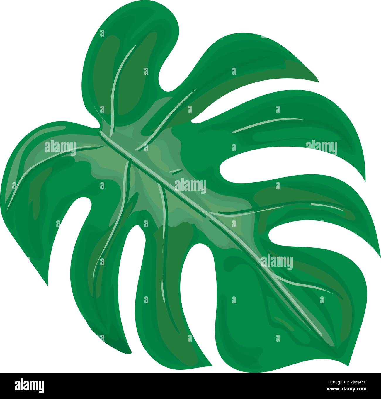 big plant leaf Stock Vector Image & Art - Alamy