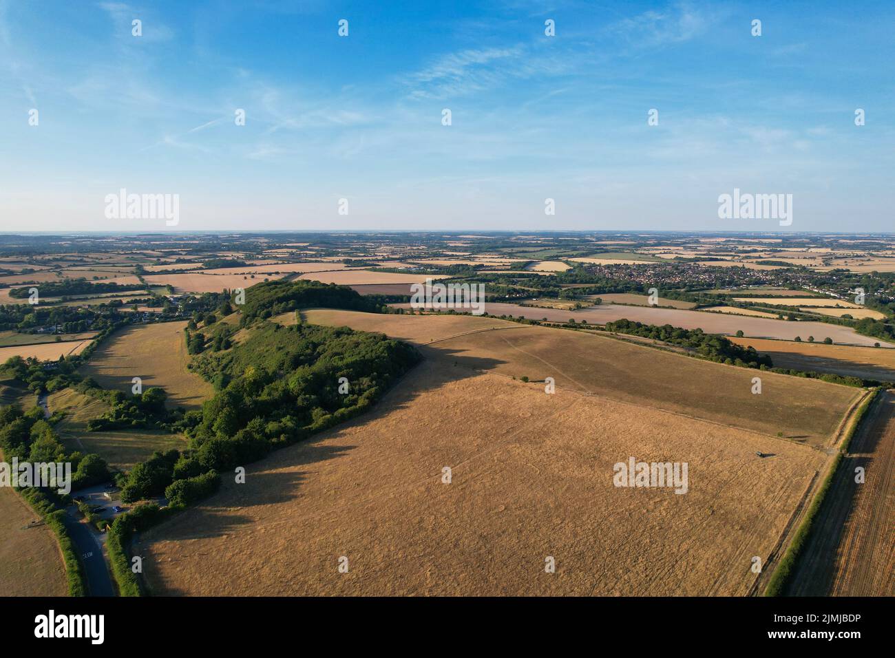 Bull cow sheep lamb farms hi-res stock photography and images - Alamy