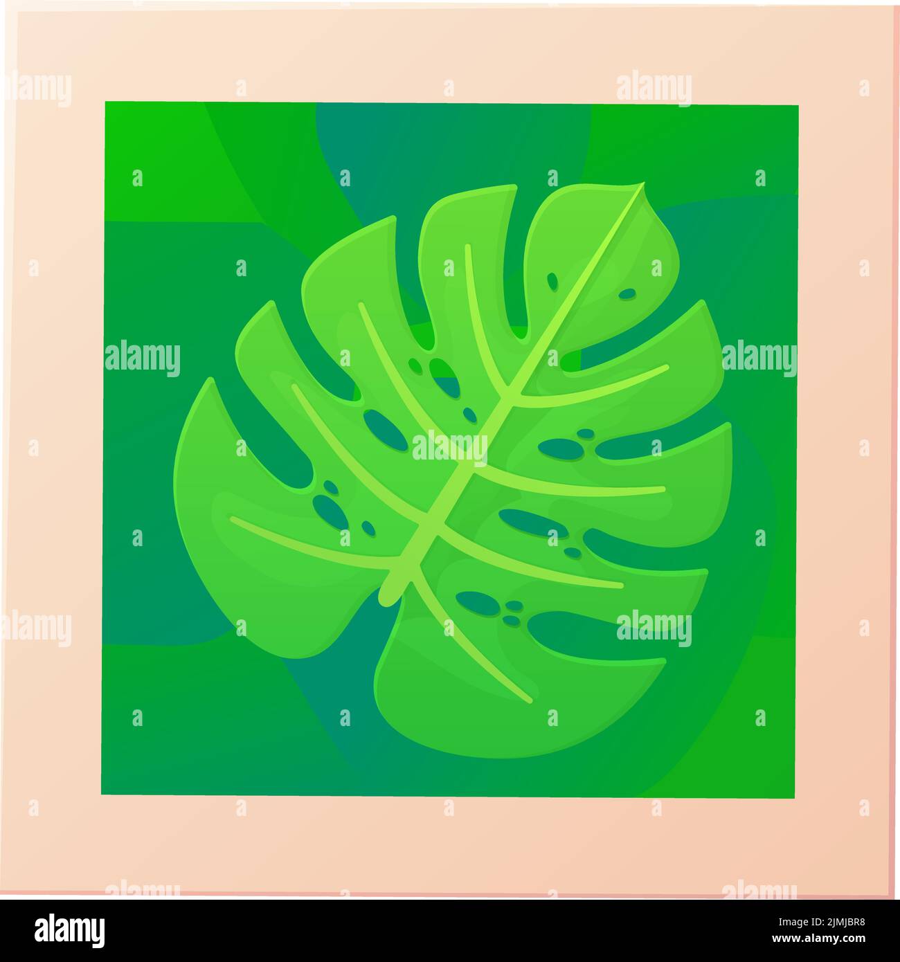 Photo of Summer monstera leaf. Exotic palm foliage, tropical nature ...