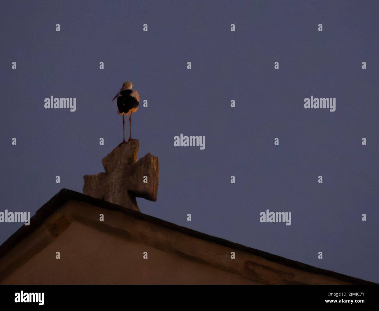 bell tower of an old church in the mediterranean area Stock Photo - Alamy