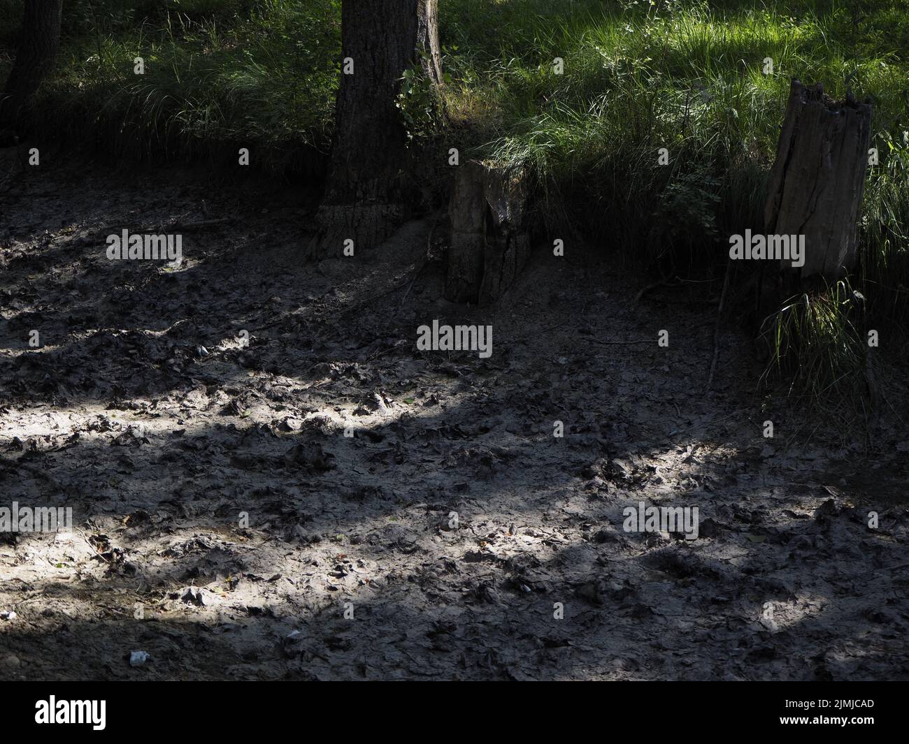 dry spring in the mountains due to climate change. Drought concept ...