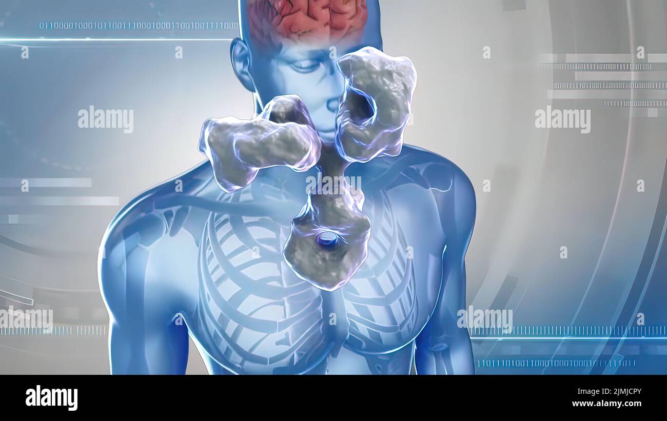 Transparent cell hi-res stock photography and images - Alamy