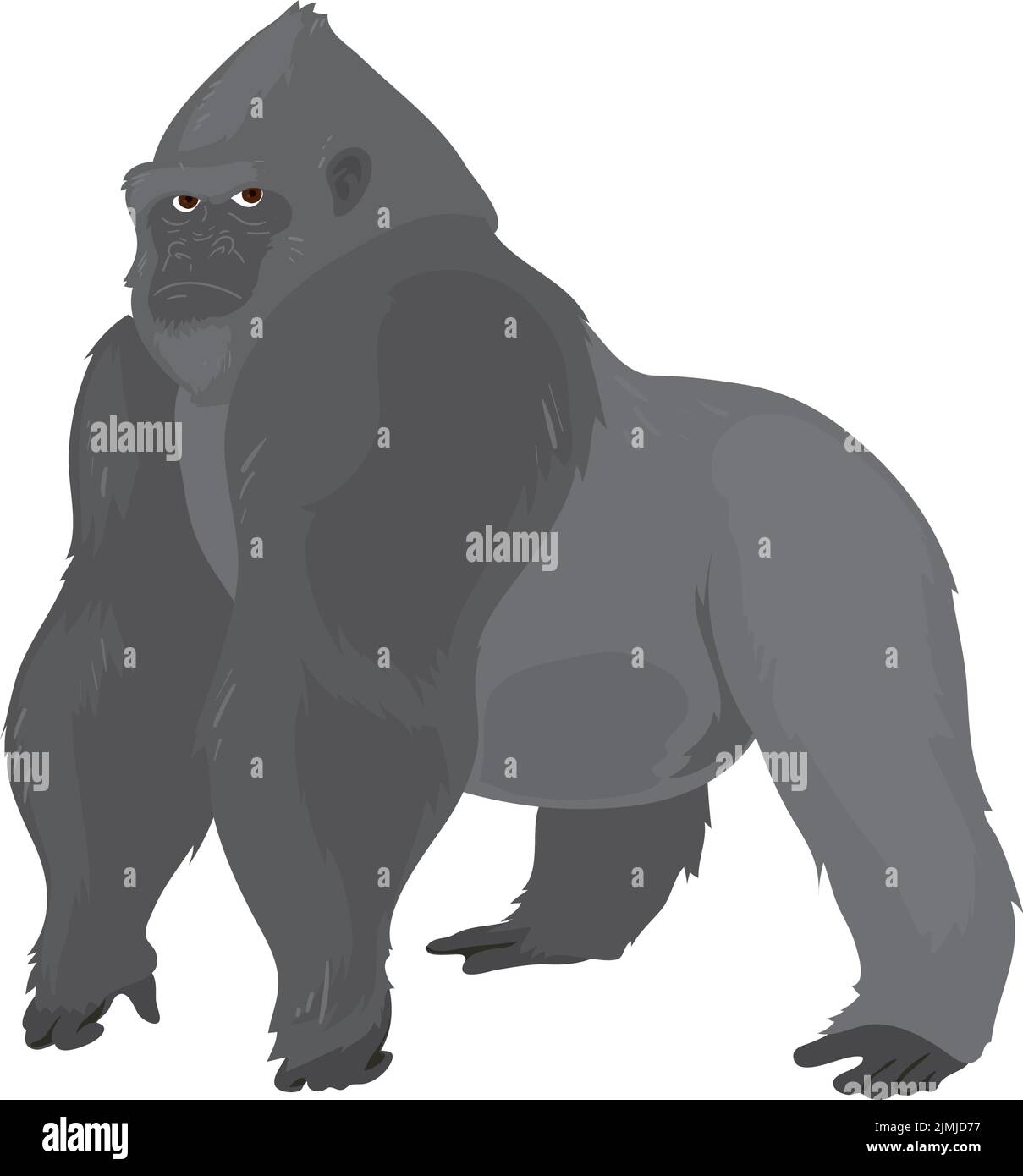 colored gorilla design Stock Vector Image & Art - Alamy