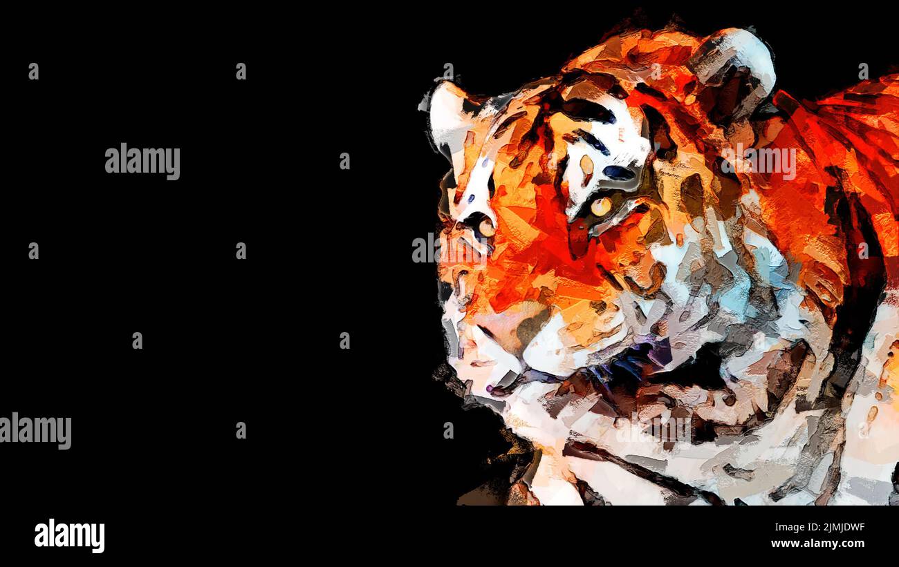 Digital portrait painting of a tiger isolated on a black background ...